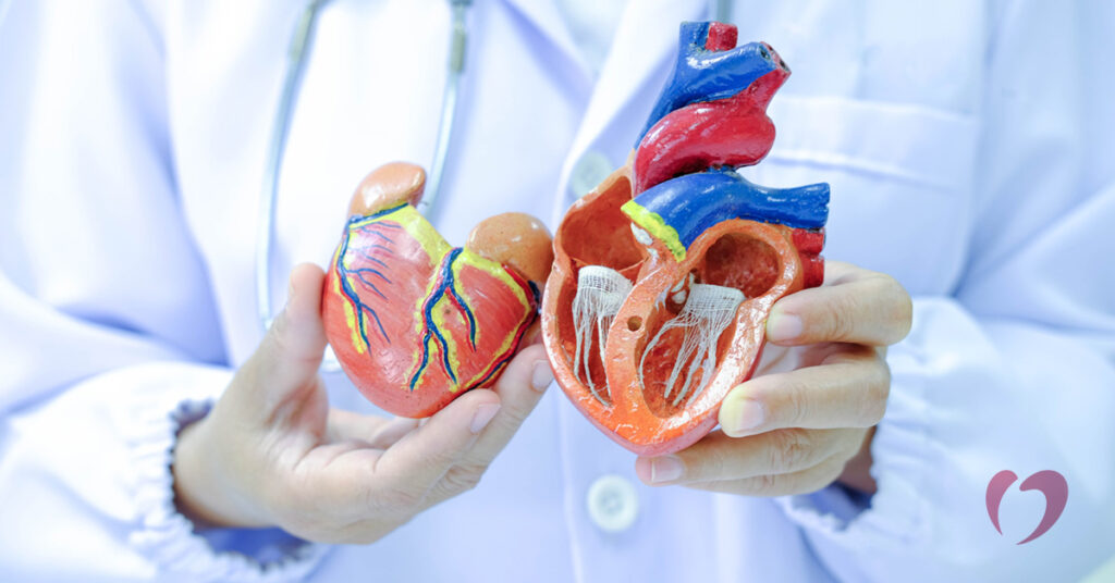 Understanding the Heart: Atria - Oklahoma Heart Hospital