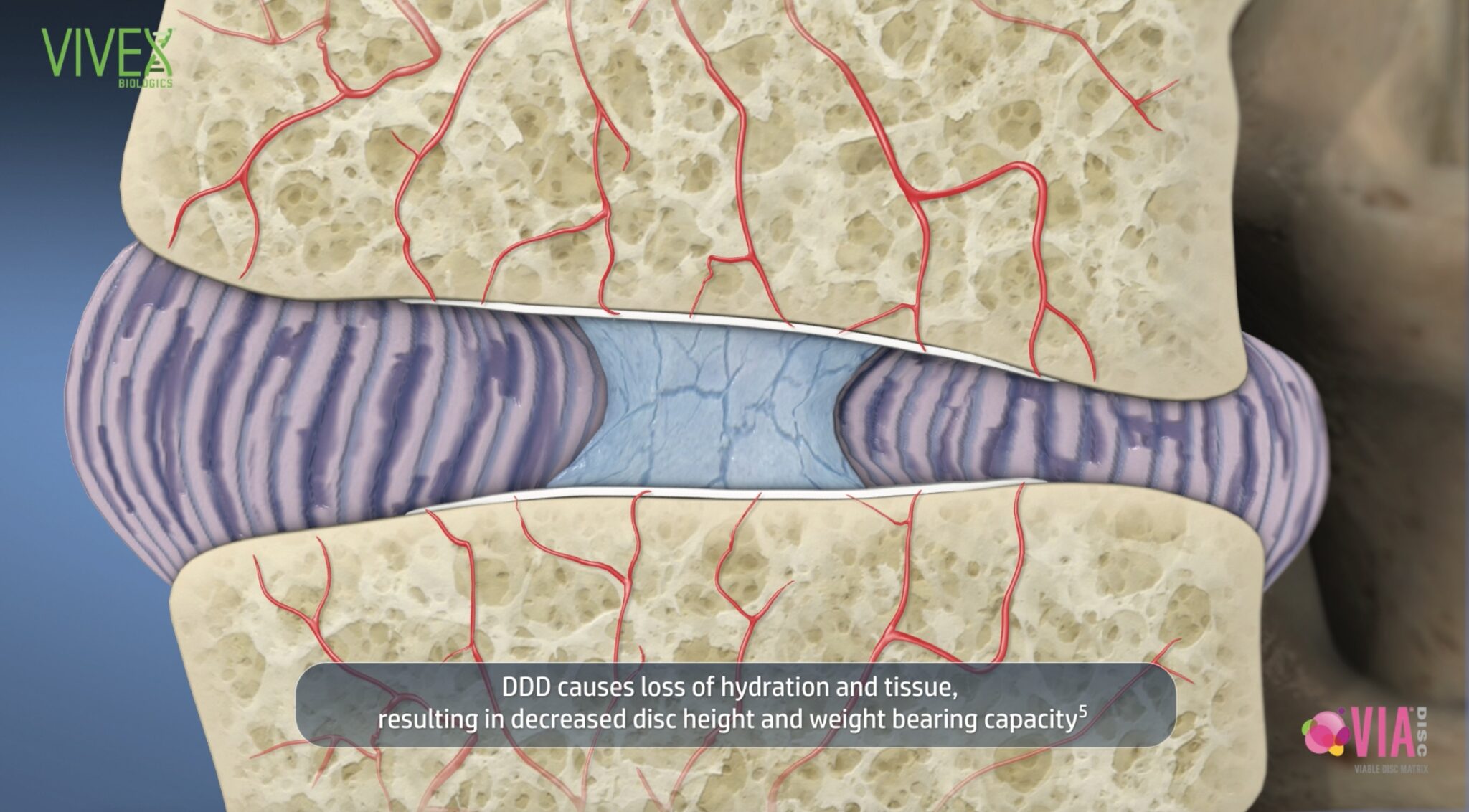 Interventional Pain Management Center - Oklahoma Heart Hospital